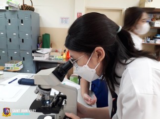 G11 Cheek epithelium cells slide preparation | Saint John Mary